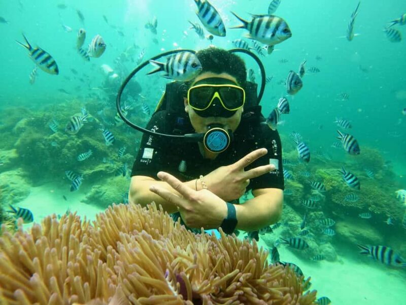 Nha Trang: Snorkeling at Marine Park with Lunch - Key Points