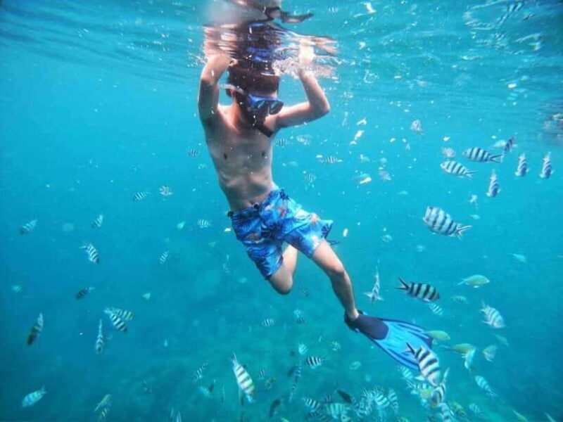 Nha Trang: Snorkeling, BBQ, Mud Bath and Resort Tour - FAQ