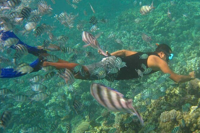 Nha Trang Snorkeling Fishing BBQ and Mini Beach Relaxation Tour - Key Points