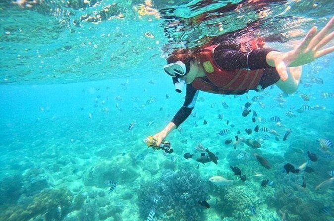 Nha Trang Snorkeling: Mun Island & Coral Reefs - The Authentic Underwater Experience