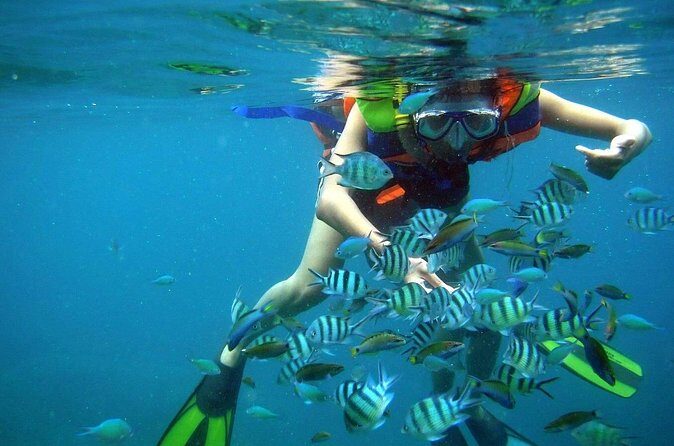 Nha Trang Snorkeling: Mun Island & Coral Reefs - FAQ