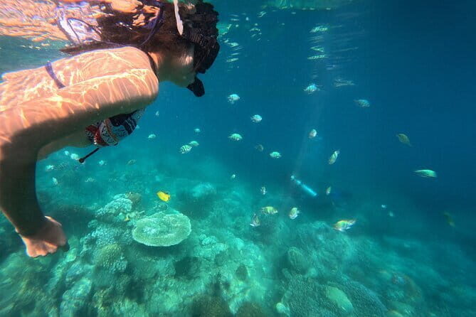 Nha Trang Sunset VIP Yacht Tour Snorkeling and Kayaking Adventure - Who This Tour Is Perfect For