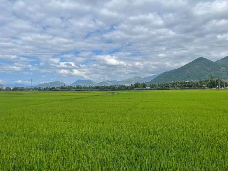 Nha Trang to Da Lat: 1-Day Tour Motorbike or Minivan - Key Points