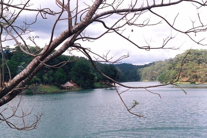 Nha Trang to Da Lat - Private Transfer - The Experience: What to Expect on Your Journey