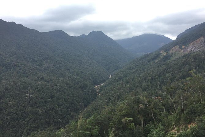 Nha Trang to Dalat 01 day Motorcycle Tour (01 Way) - What Makes This Tour Stand Out?