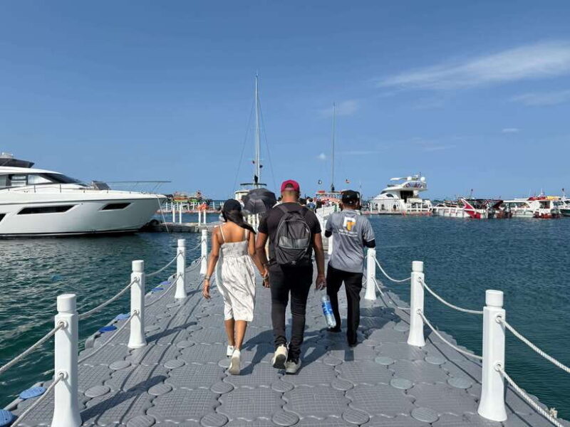 Nha Trang Vinpearl Vinwonder Self Guided Tour With Transfer - Exploring the Highlights of VinWonders Nha Trang