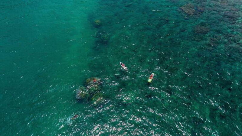 Nha Trang: VIP YACHT TOUR ( BBQ, Water activities) - Why Choose This Tour?