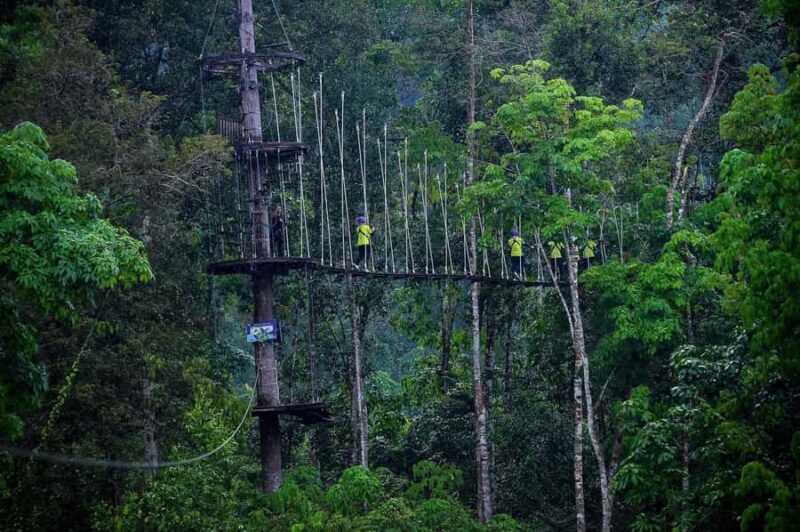 Nha Trang: Zipline Canopy at Kong Forest - Nha Trang: Zipline Canopy at Kong Forest — An Adventurous Escape into Vietnam’s Green Treasures