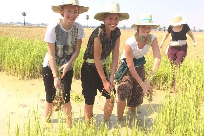 NhumBai, The Village Experience - Discovering the Real Cambodia: NhumBai, The Village Experience