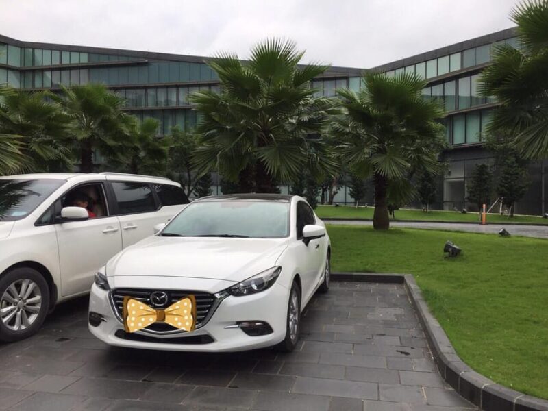 Ni Bài International Airport - Gateway to Vietnam - FAQ