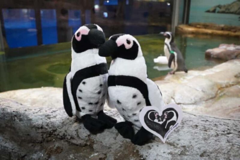 Niagara: Aquarium of Niagara General Admission - An In-Depth Look at the Aquarium of Niagara