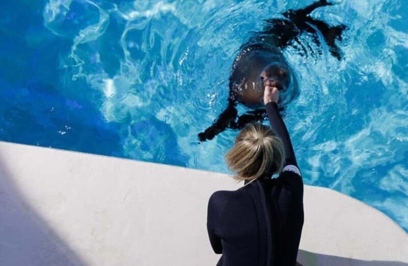 Niagara: Aquarium of Niagara General Admission - The Sum Up: Is It Worth Your Time?