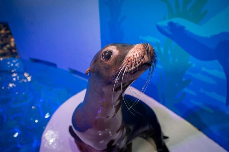 Niagara: Aquarium of Niagara General Admission - FAQs About the Aquarium of Niagara