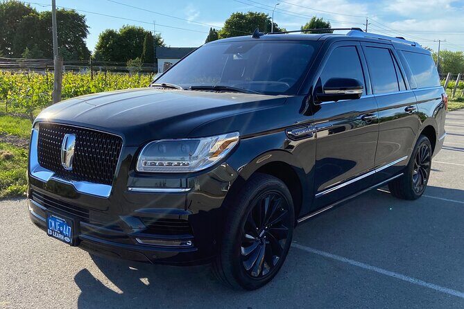 Niagara Buffalo Airport Arrival: Private Transfer to Niagara Falls Ontario - Who is this transfer best for?