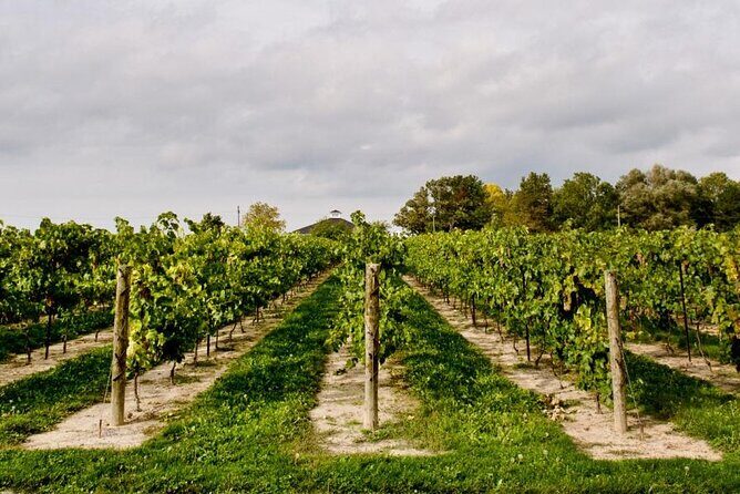 Niagara County Wine Tour and Tasting - Final Words