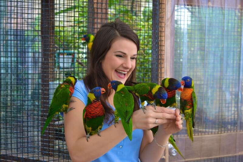 Niagara Falls, Canada: Bird Kingdom Entry Ticket - What the Reviews Say