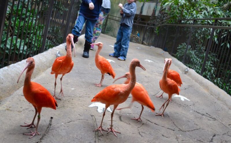 Niagara Falls, Canada: Bird Kingdom Entry Ticket - Frequently Asked Questions