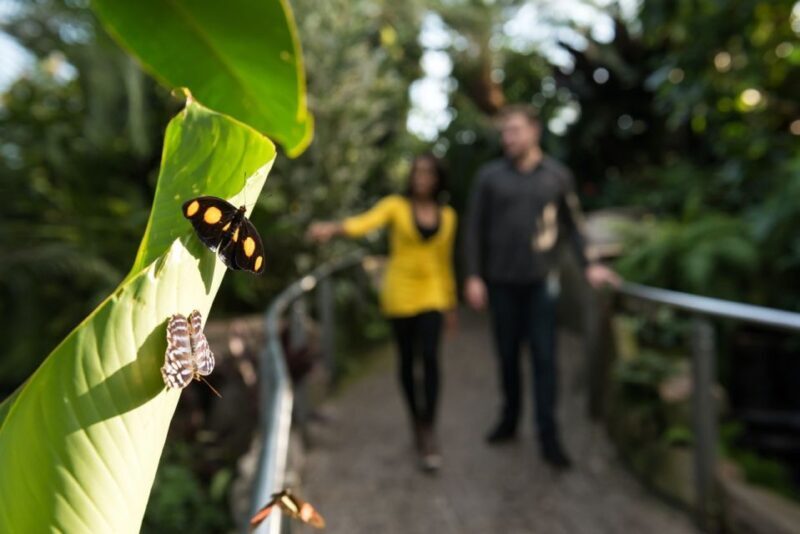 Niagara Falls, Canada: Butterfly Conservatory Admission - The Educational & Interactive Elements