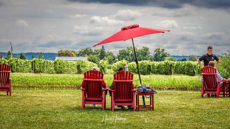 Niagara Falls, Canada: Escarpment Boutique Wine Tour - Frequently Asked Questions
