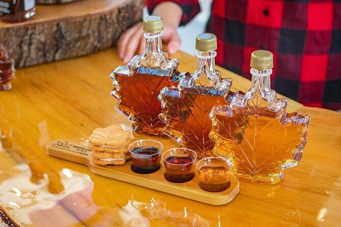 Niagara Falls Day Tour, Boat Cruise and Journey Behind the Falls - Analyzing the Value and Experience