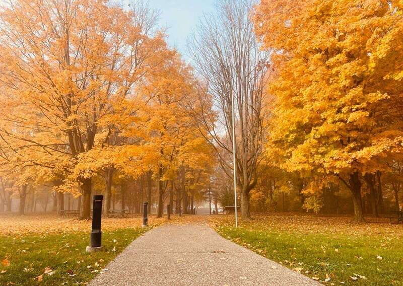 Niagara Falls: Luxury Private Tour with Winery stop - Exploring Niagara-on-the-Lake