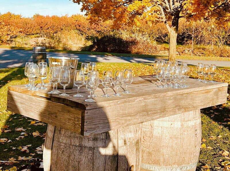 Niagara Falls: Luxury Private Tour with Winery stop - Who Is It Best For?