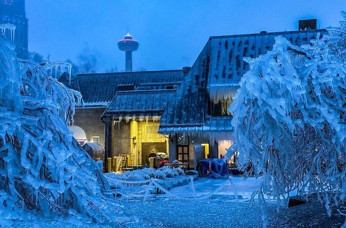 Niagara Falls Mini Group Walking Tour with Niagara Takes Flight - Final Words