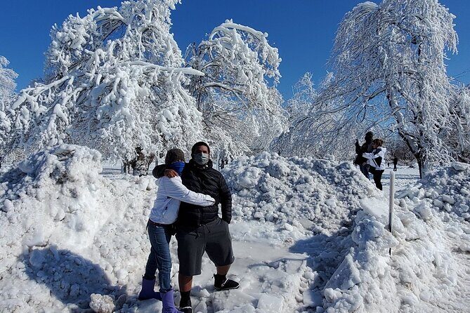 Niagara Falls NY small group Winter Wonderland Tour - The Practicalities: What This Tour Offers
