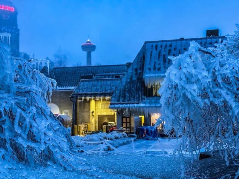 Niagara Falls: Power Station and "Niagara Takes Flight" Tour - Key Points