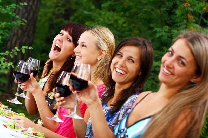 Niagara Falls: Public Niagara Wine Tour with Transportation - Practical Details for Your Planning