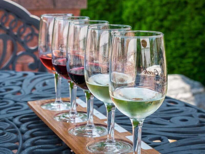 Niagara Falls: Public Niagara Wine Tour with Transportation - An In-Depth Look at the Tour Experience