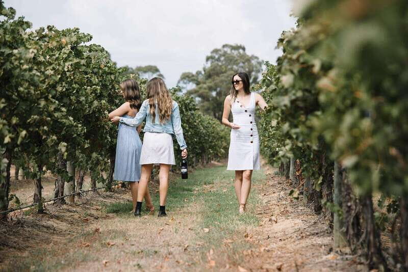 Niagara Falls: Public Niagara Wine Tour with Transportation - The Sum Up