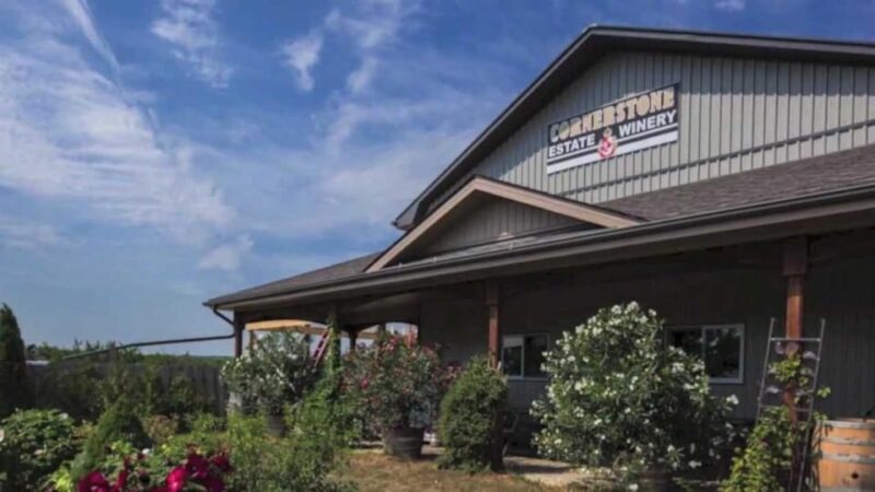 Niagara Falls: Public Niagara Wine Tour with Transportation - Frequently Asked Questions