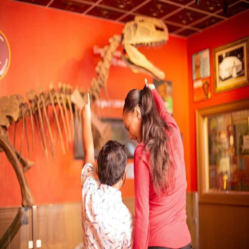 Niagara Falls: Ripley's Believe It or Not! Museum Entry - An Honest Look at a Popular Attraction