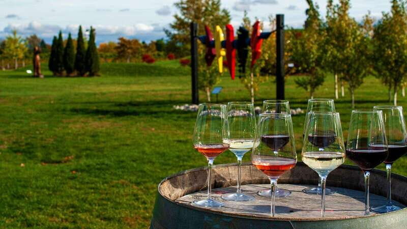 Niagara Falls: Small Group Tour with Wine Tasting and Cruise - A Balanced Look at the Niagara Experience