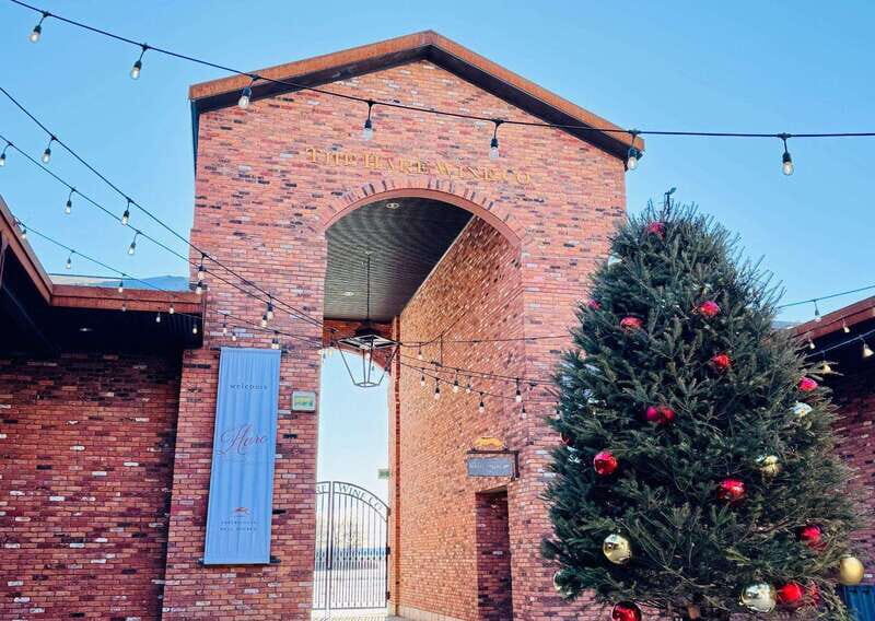 Niagara Falls Tour with Skip the Line Cruise - A Detailed Look at the Niagara Falls Tour Experience