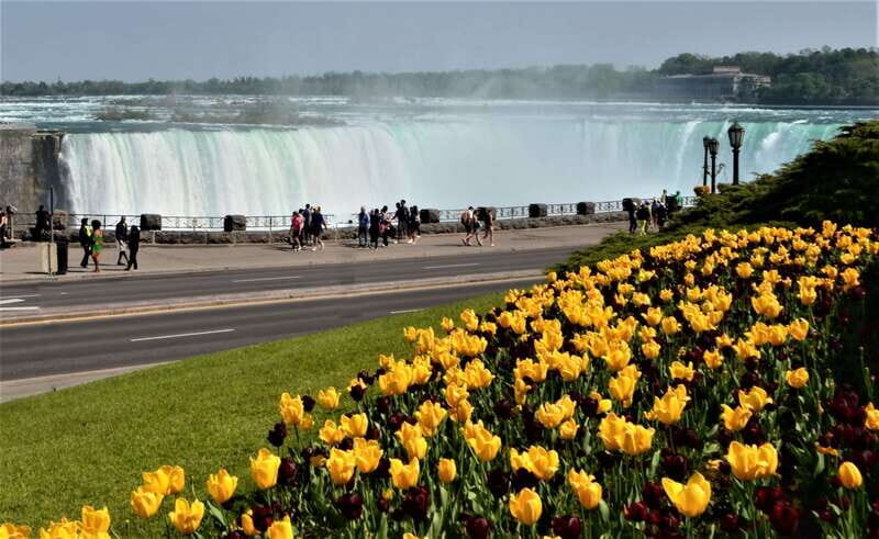 Niagara Falls Tour with Skip the Line Cruise - Review Highlights from Past Travelers