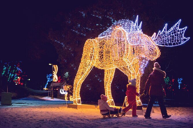 Niagara Falls USA/Canada Winter Wonderland Adventure tour - The Bottom Line: Who Is This Tour Best For?