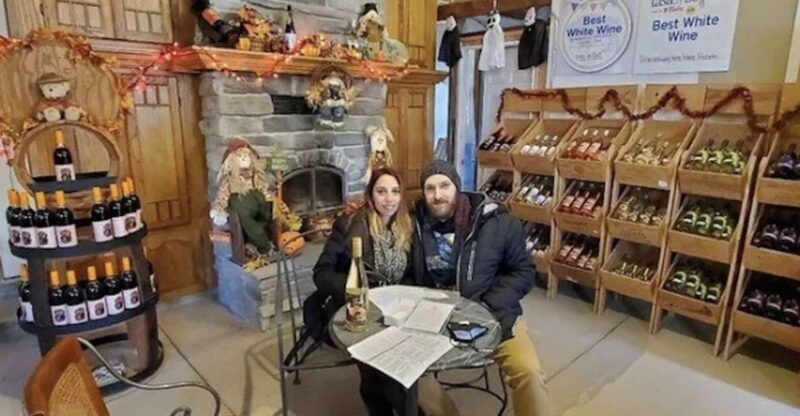 Niagara Falls: USA Small-Group Boutique Wine Tour - An Overview of the Tour Experience