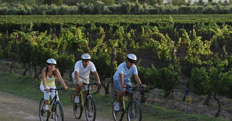 Niagara-on-the-Lake: Bicycle Tour with Wine Tasting - Key Points
