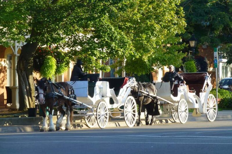Niagara-on-the-Lake: Guided Vehicle Tour(The Prettiest Town) - An In-Depth Look at the Tour Experience