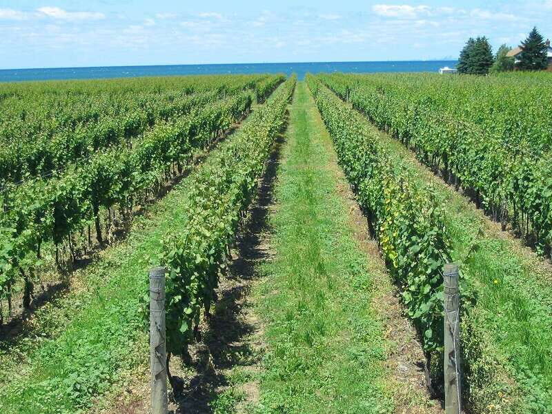 Niagara-on-the-Lake/Niagara Falls: Private Custom Day Trip - Final Thoughts