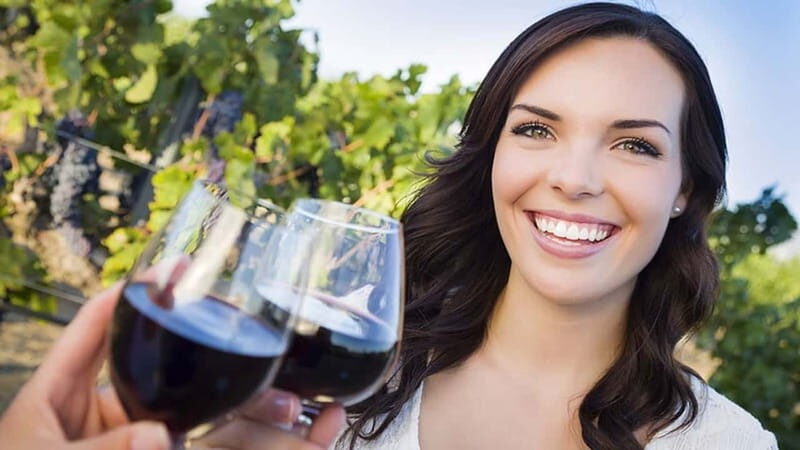 Niagara-on-the-Lake: Sunset Wine Tour with Dinner - An In-Depth Look at the Experience