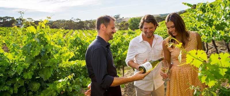Niagara-on-the-Lake: Sunset Wine Tour with Dinner - FAQs