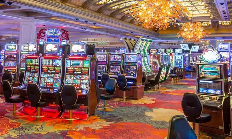 Niagara: VIP Casino Tour with Private Driver From Toronto - Who Is This Tour Best For?