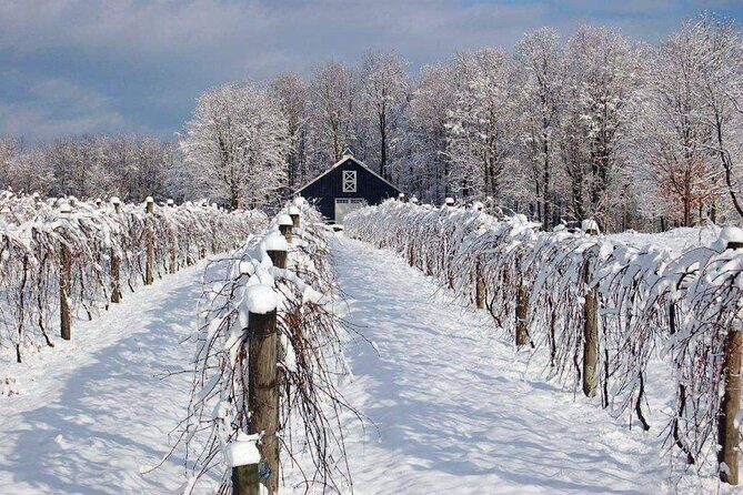 Niagara Wine Tour and Tastings with Included Transportation - Frequently Asked Questions