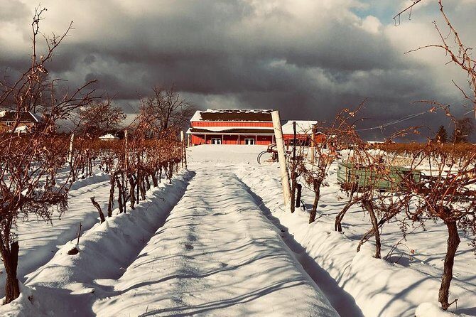 Niagara's Decadent Sparkling and Icewine Tasting - Frequently Asked Questions