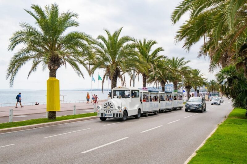 Nice: A gentle ride on a little electric train with a panoramic view - What We Love About the Experience