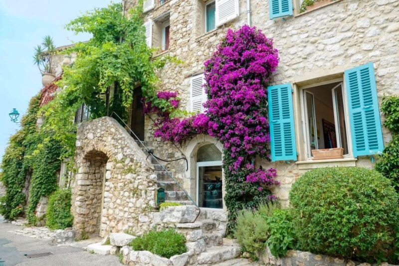 Nice: Cannes, Antibes & St Paul de Vence Half-Day Tour - Final Thoughts: Who Will Love This Tour?