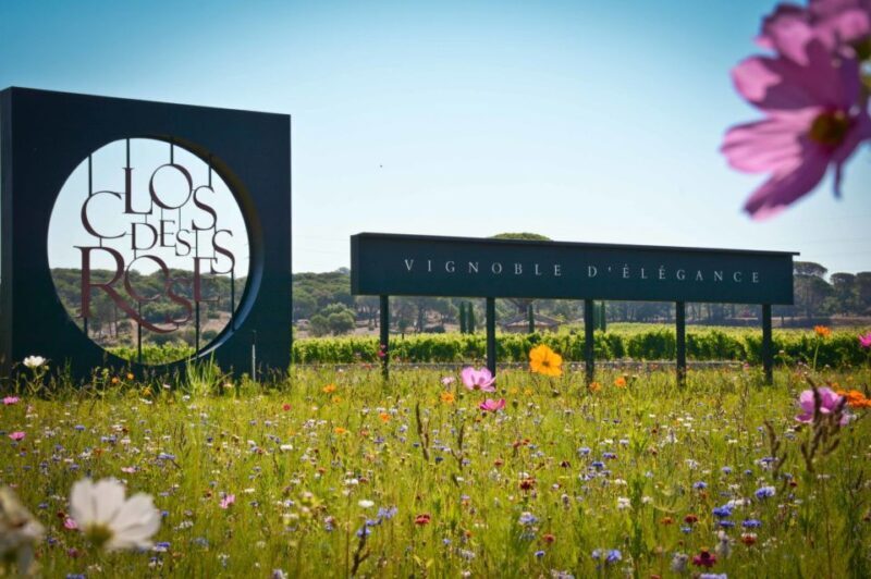 Nice: Clos des Roses wine tasting and lunch - A Closer Look at the Experience